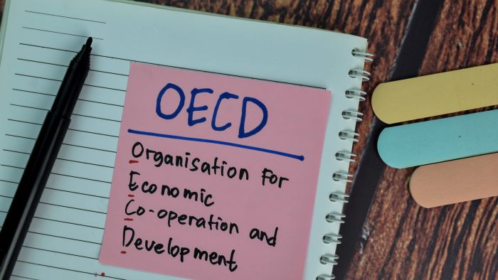 Nieuwe toelichting OESO-modelteksten Pijler 2-regels - Taxence