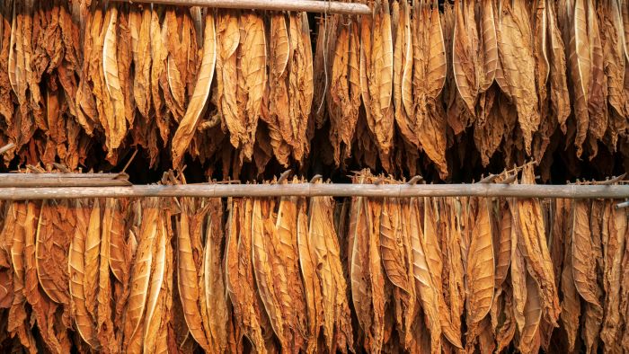 Vergrijpboete voor gebruik onzakelijke verrekenprijzen - Taxence